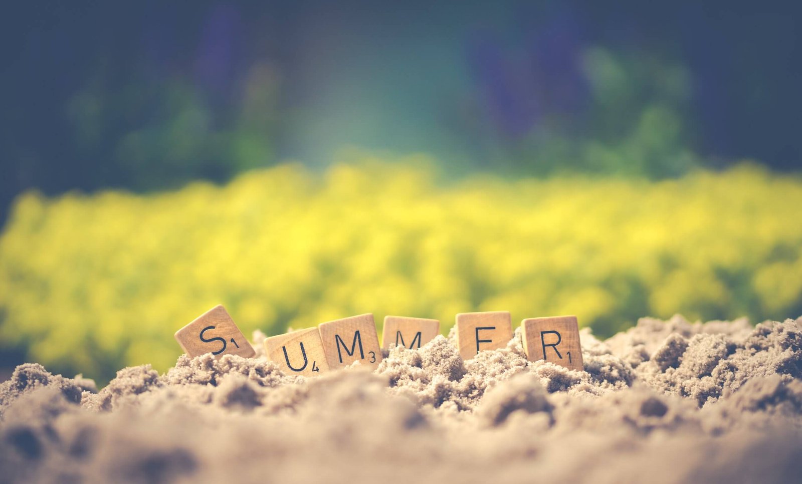 How Can You Get Outside More This Summer? | SocialMagz